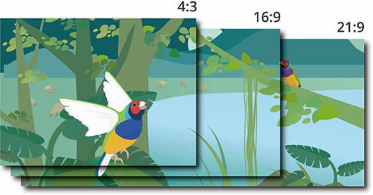 Screen Resolution ความละเอียดจอ และ Aspect Ratio คืออะไร