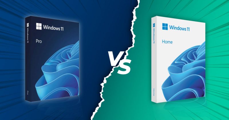 Windows 11 Home vs Pro ต่างกันยังไง เลือกใช้ Edition ไหนดี