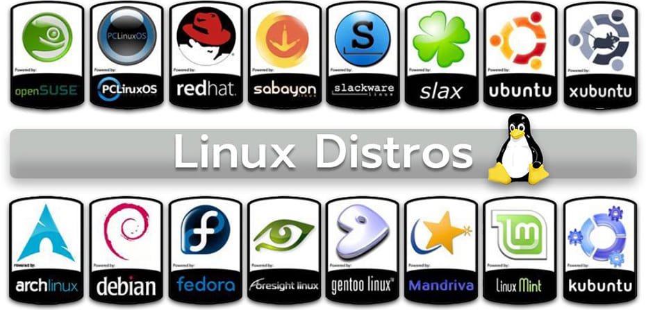 Linux คือ อะไร มีองค์ประกอบอะไรบ้าง แตกต่างกับ Windows ยังไง